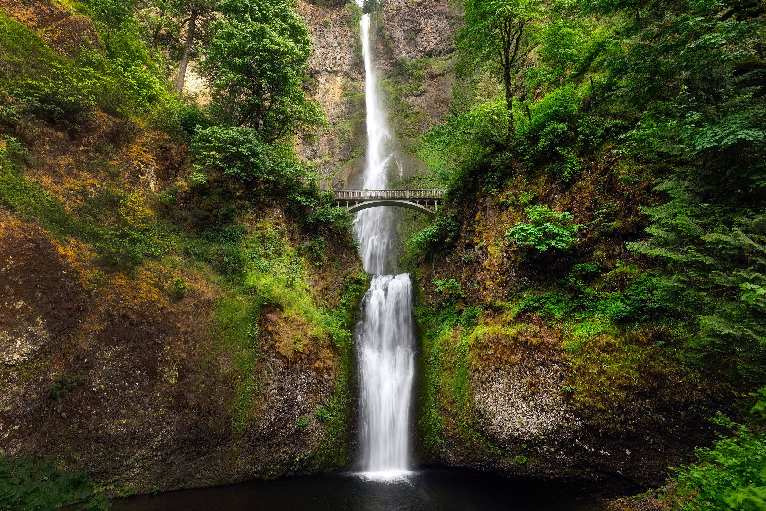 Best Sellers – Erica Turner Landscapes