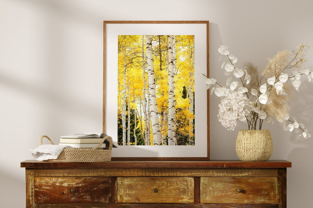 Aspen Tree Wall Art – Erica Turner Landscapes
